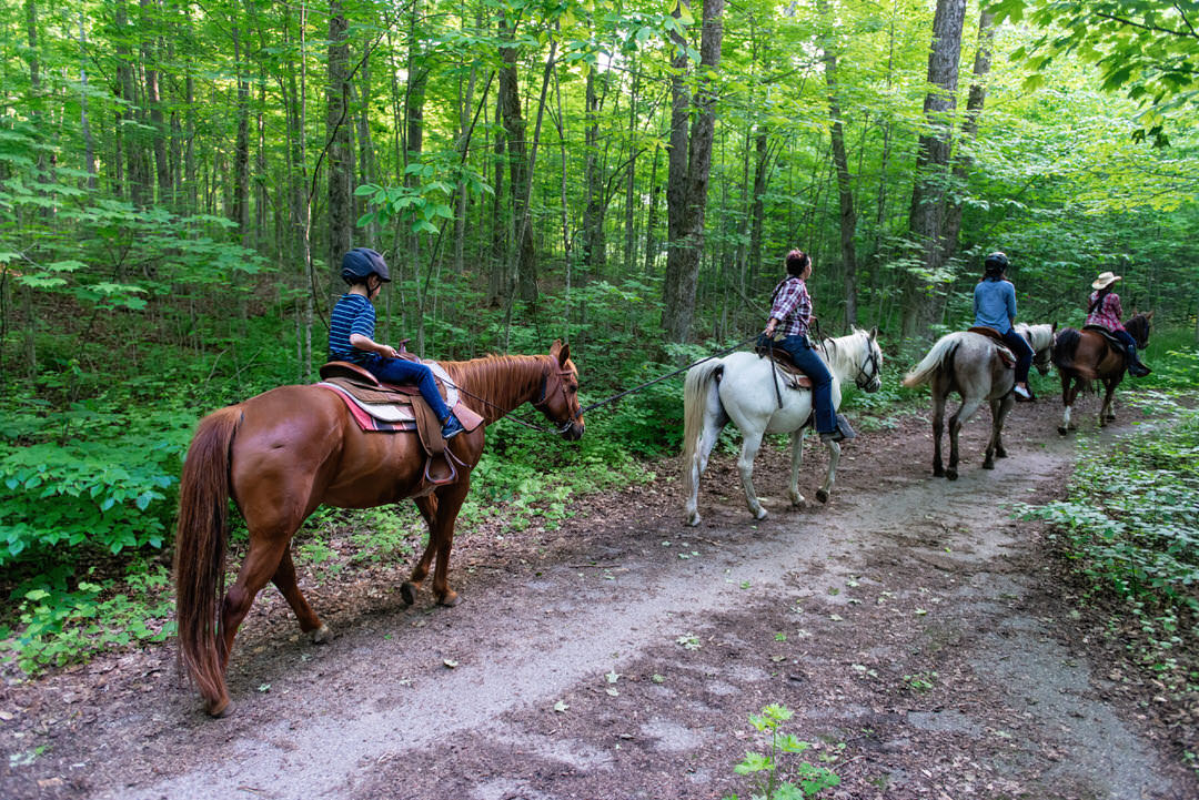Horseback riding | Destination Ontario