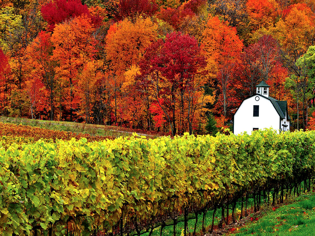 Autumn Adventures: 10 Best Things to Do in New Brunswick During Fall ...