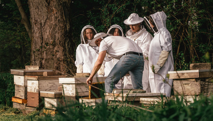 Apiary tours and honey products | Destination Ontario