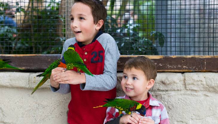 Fun activities for March Break | Destination Ontario