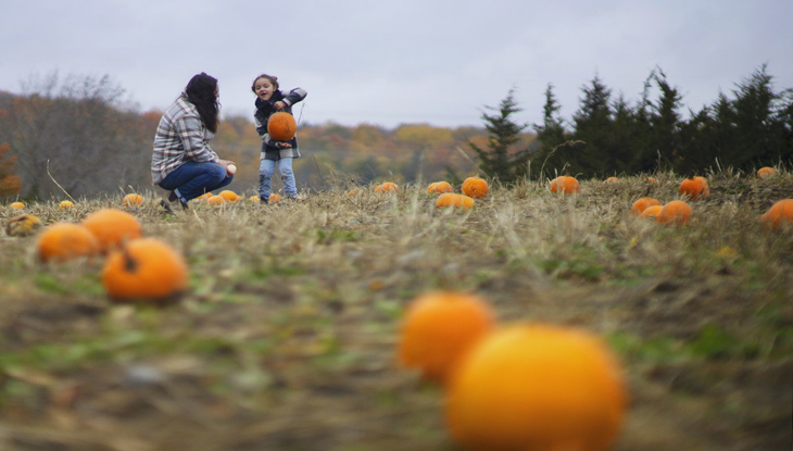Fermes et champs de citrouilles incontournables | Destination Ontario