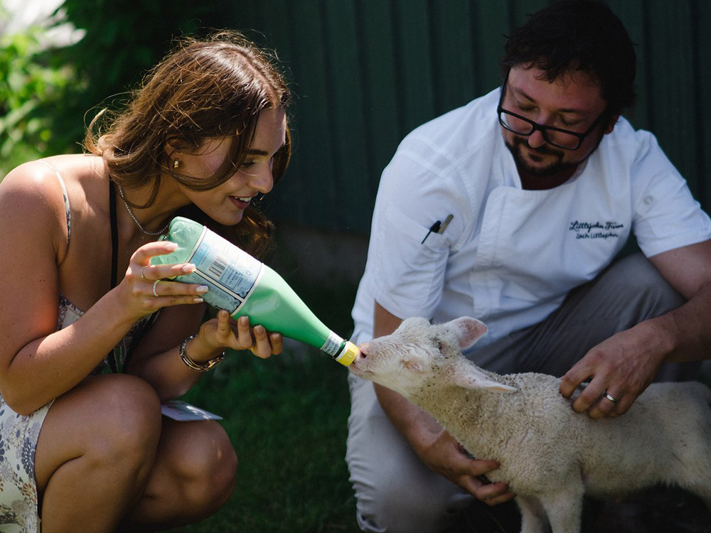 Farm tours and events | Destination Ontario