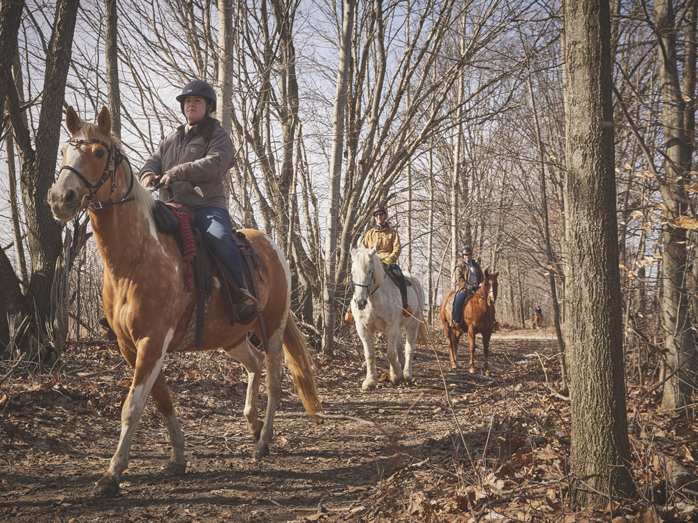Where to go horseback riding | Destination Ontario