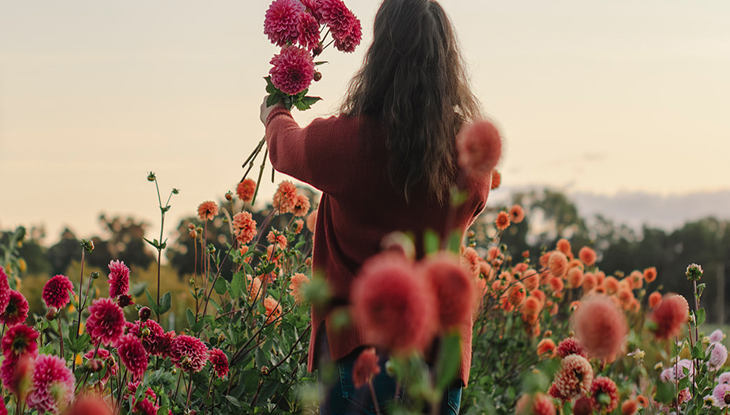 Pick your own flower farms | Destination Ontario