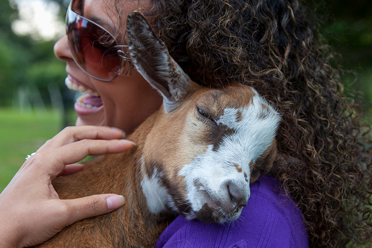 Haute Goat | Destination Ontario