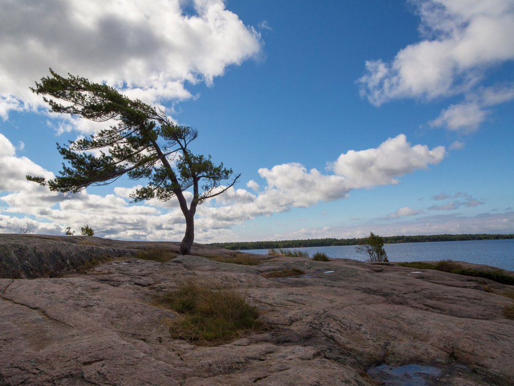 Killbear Provincial Park | Destination Ontario