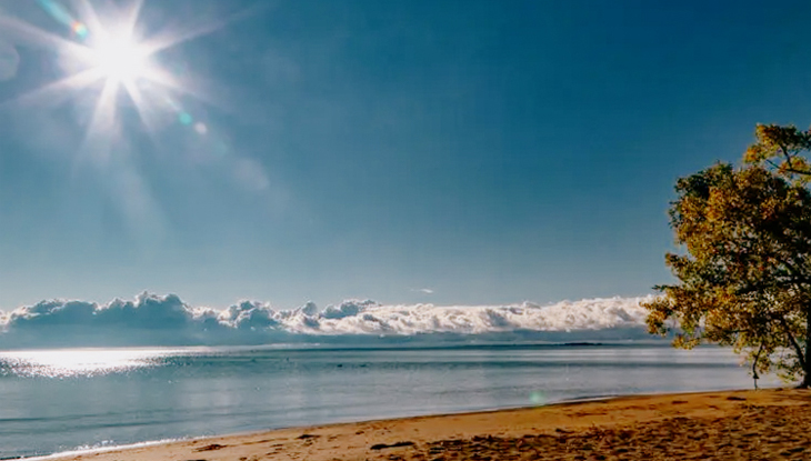Turkey Point Beach | Destination Ontario