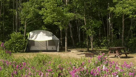 Campgrounds | Destination Ontario